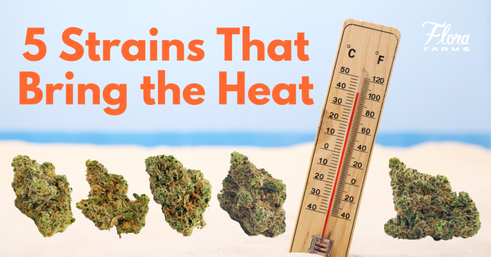 5 Strains That Bring the Heat | Flora Farms MO